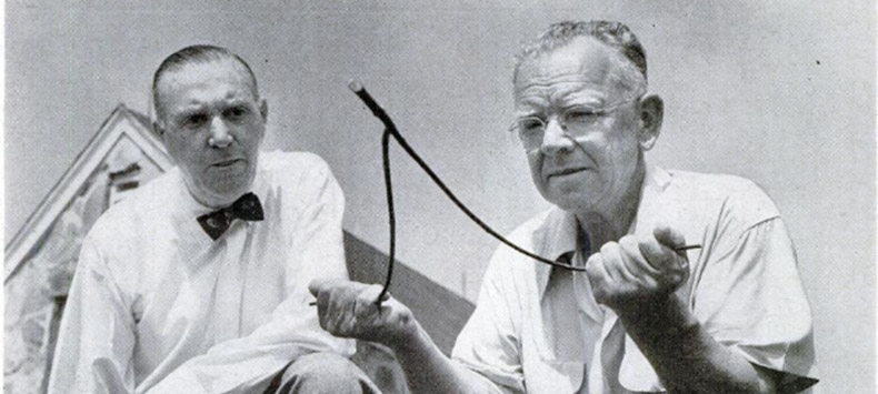 Breve historia de la radiestesia - Radiestesia escéptica